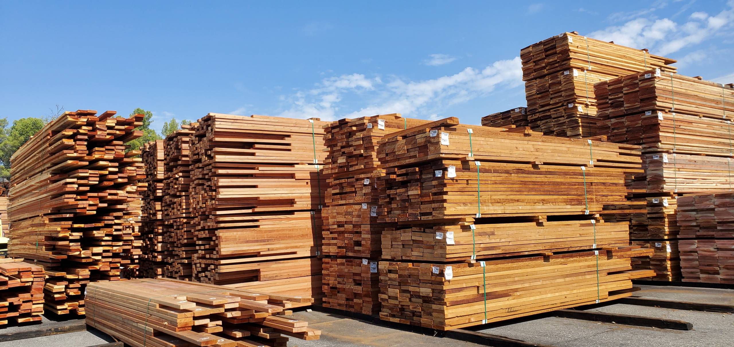 Tropical and Exotic Hardwoods & Lumber Supplier