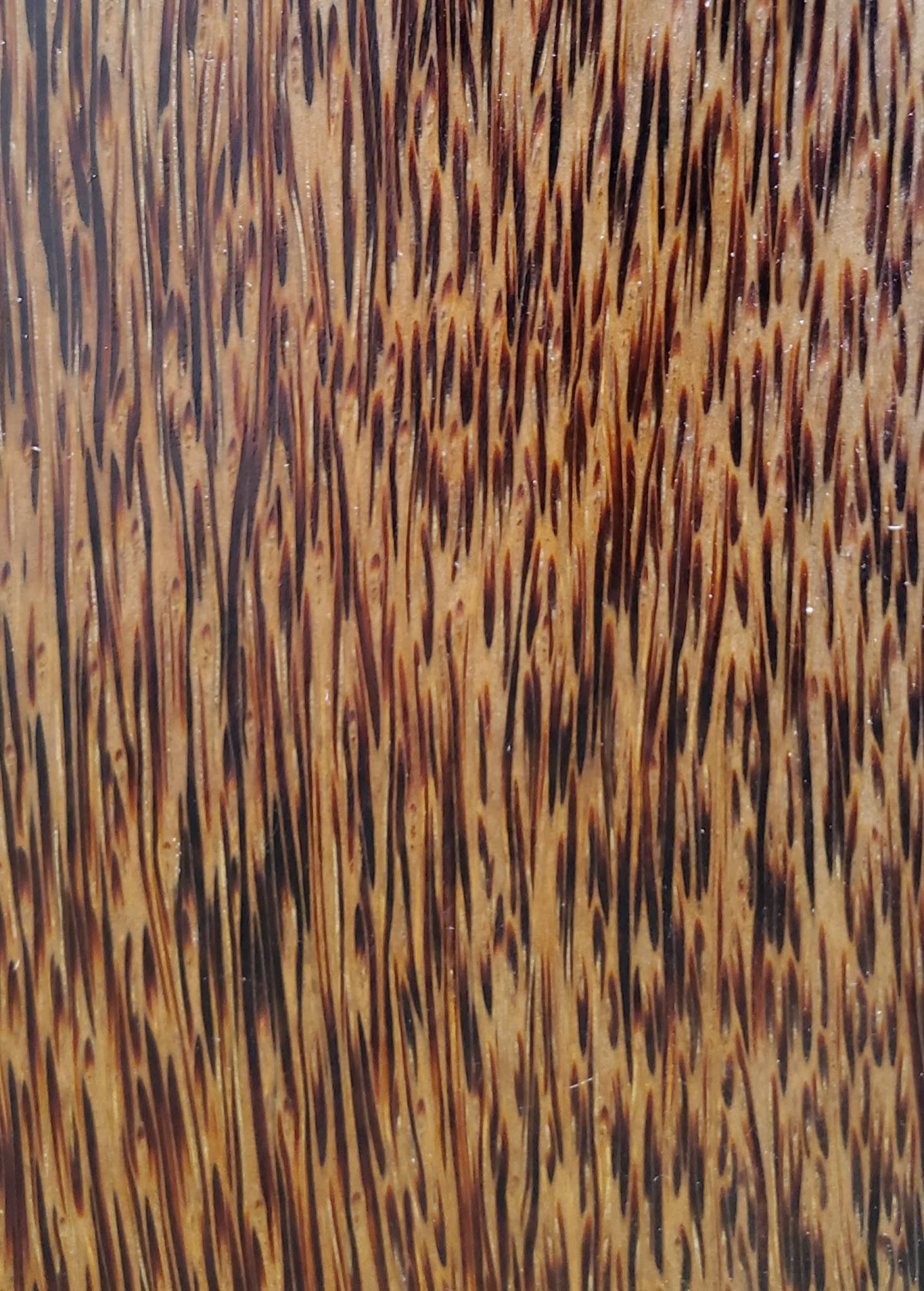 Wood Species, Different Types of Woods - Resources Fiji