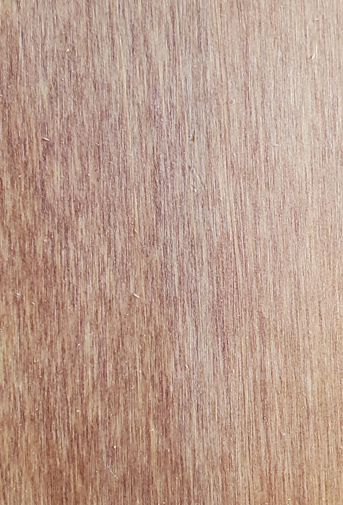 Wood Species, Different Types of Woods - Resources Fiji