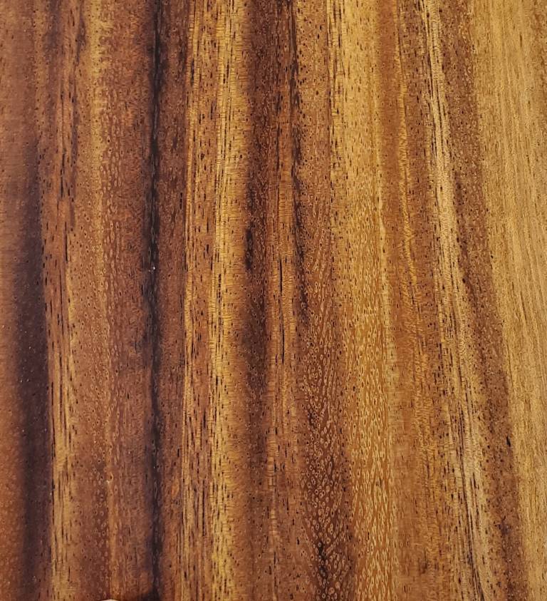 Wood Species, Different Types of Woods - Resources Fiji