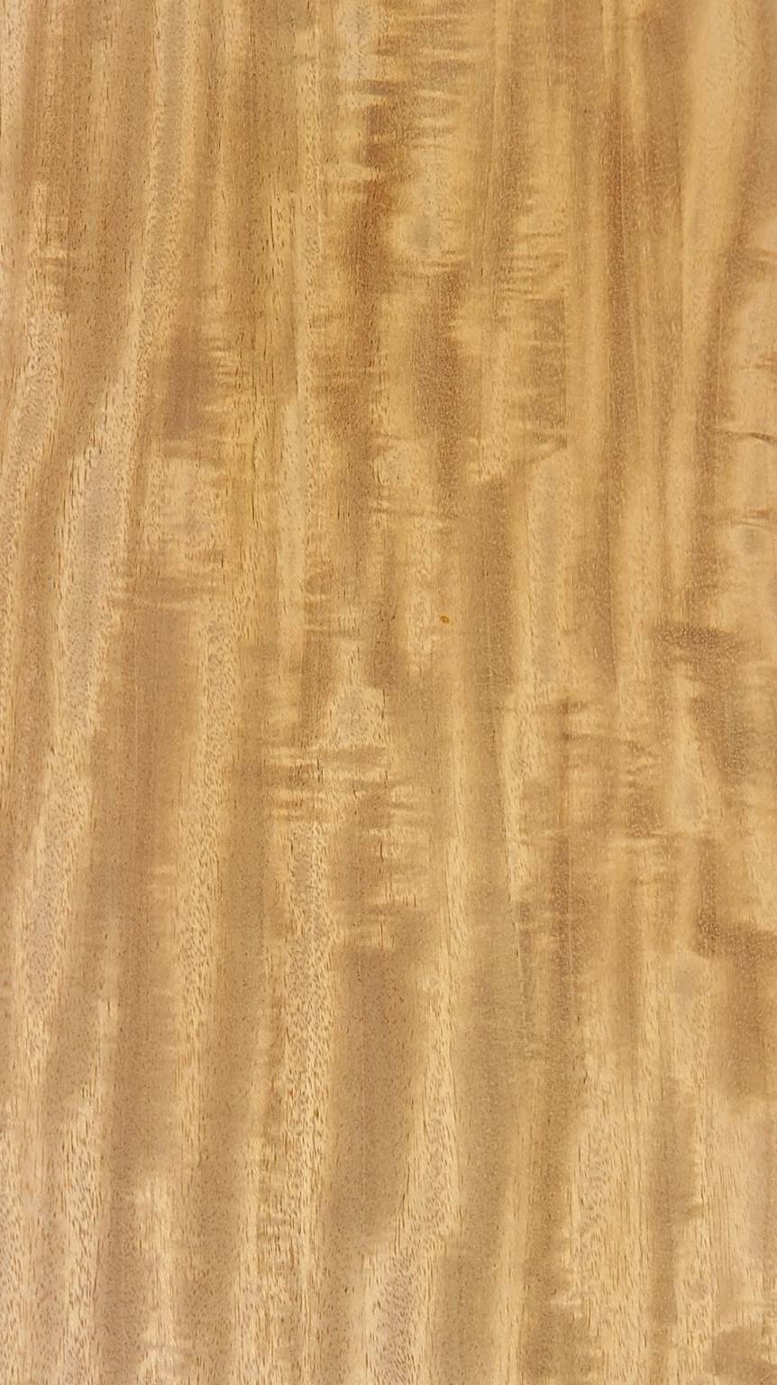 Wood Species, Different Types of Woods - Resources Fiji