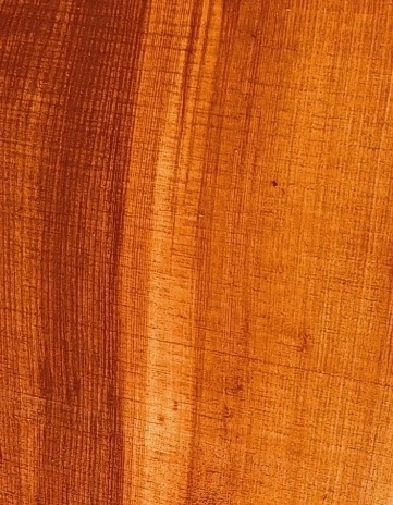 REDWOOD (GIANT SEQUOIA) - Exotic Hardwoods Suppliers - Resources Fiji LLC